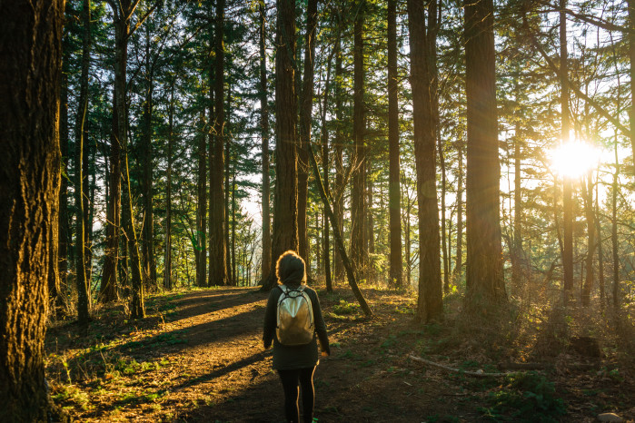 Profitez de la nature avec la rando